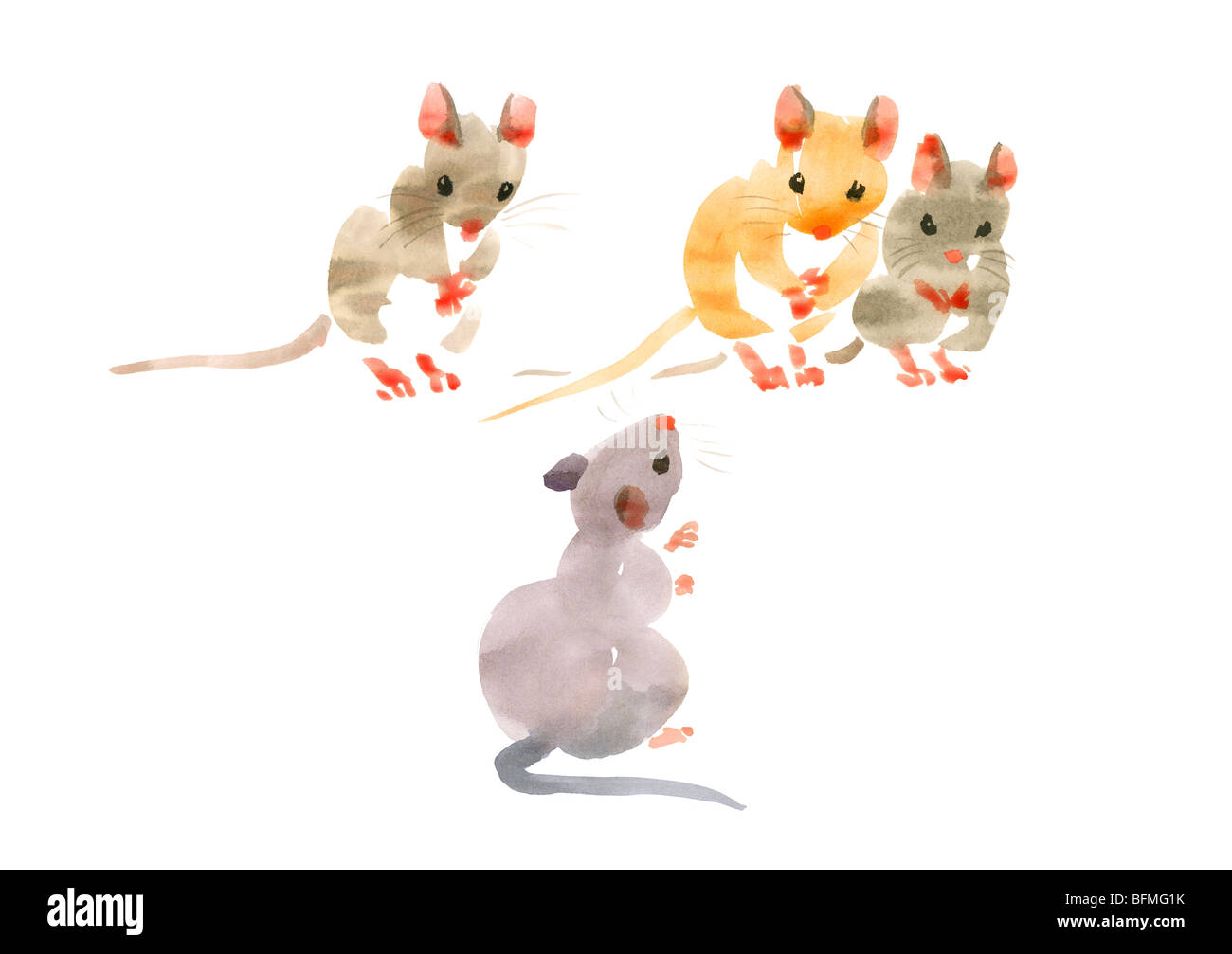 Illustration of four mice, white background Stock Photo - Alamy