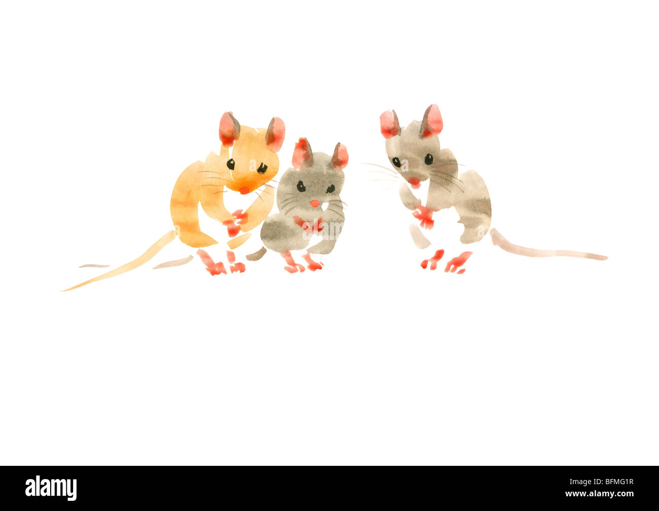 Illustration of three mice, white background Stock Photo - Alamy