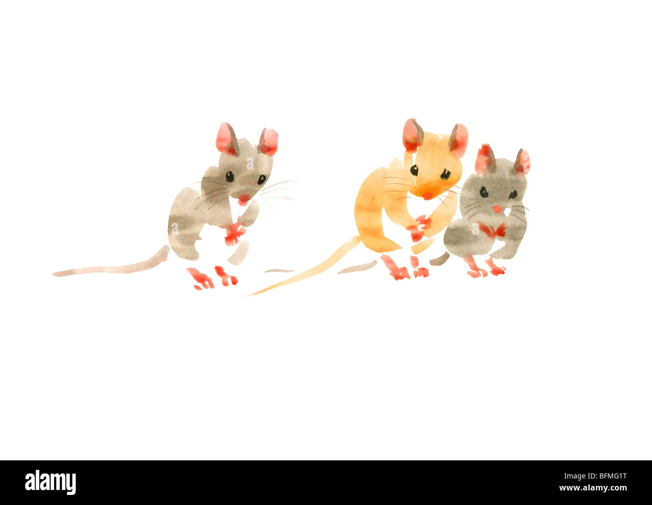 Illustration of three mice, white background Stock Photo - Alamy