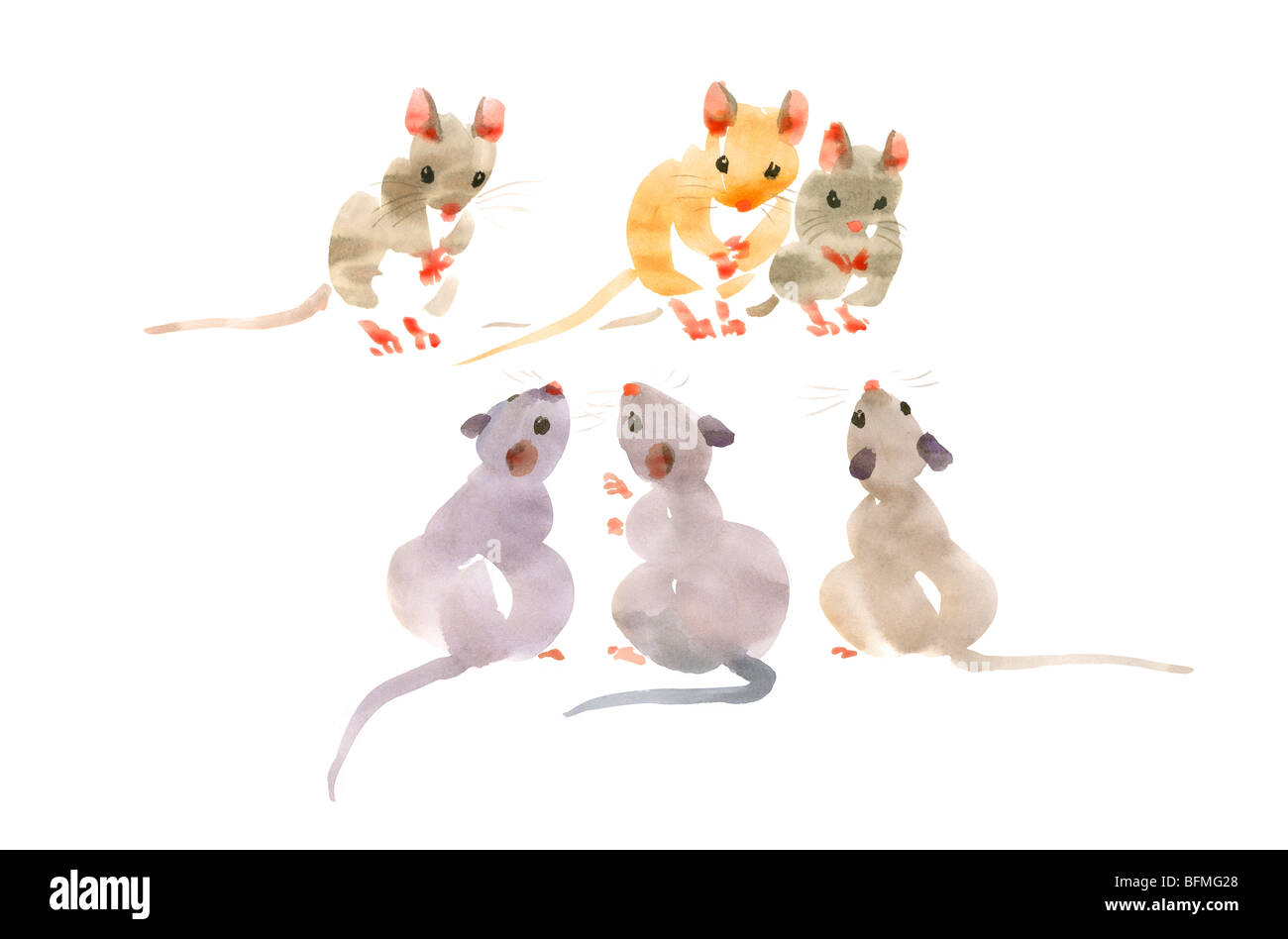 Illustration of six mice, white background Stock Photo - Alamy