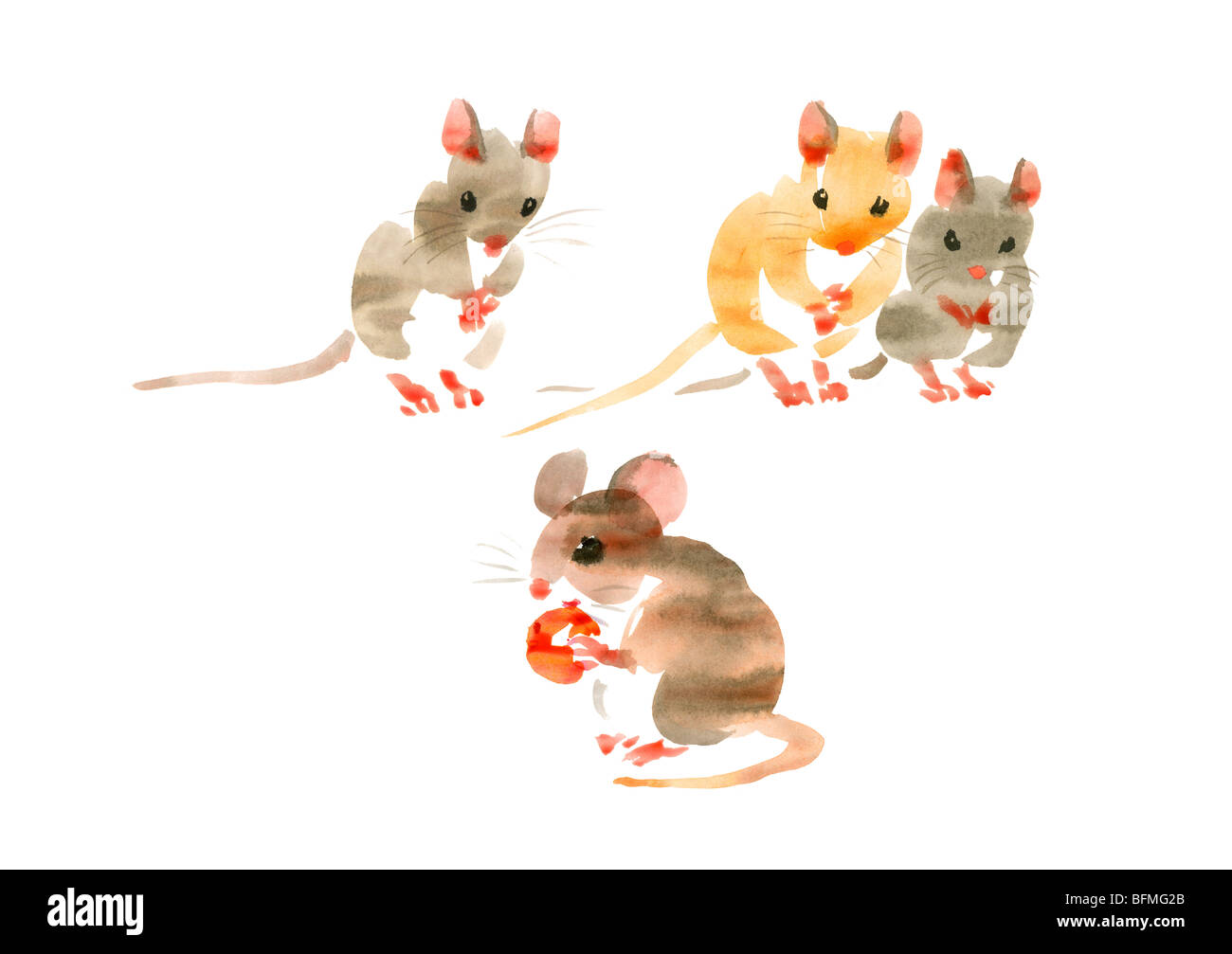 Illustration of three mice looking at mouse eating cherry, white ...