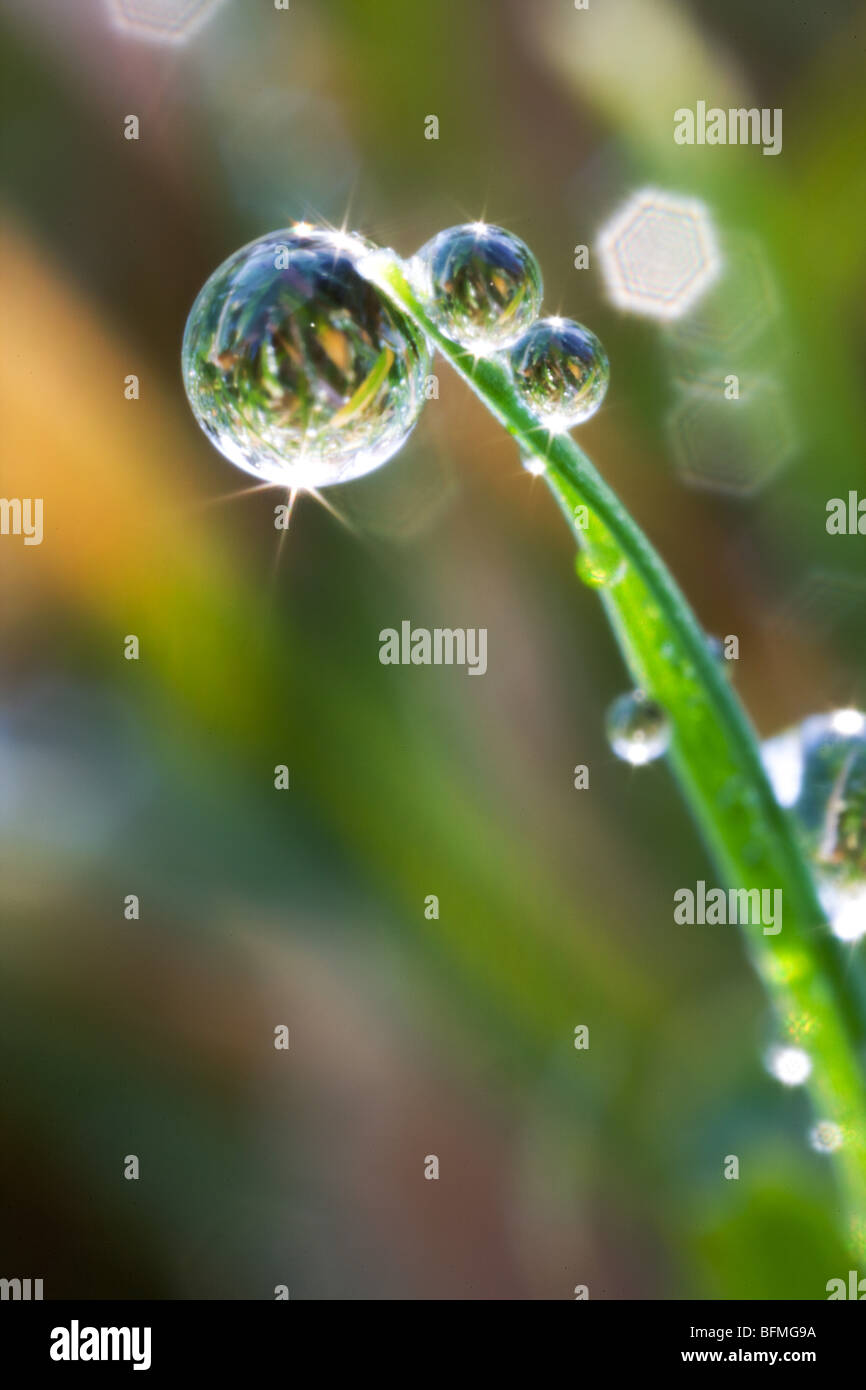 Waterdrops wasser hi-res stock photography and images - Alamy