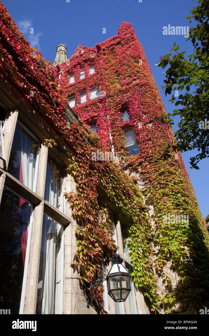 Ivy vines building campus hi-res stock photography and images - Alamy