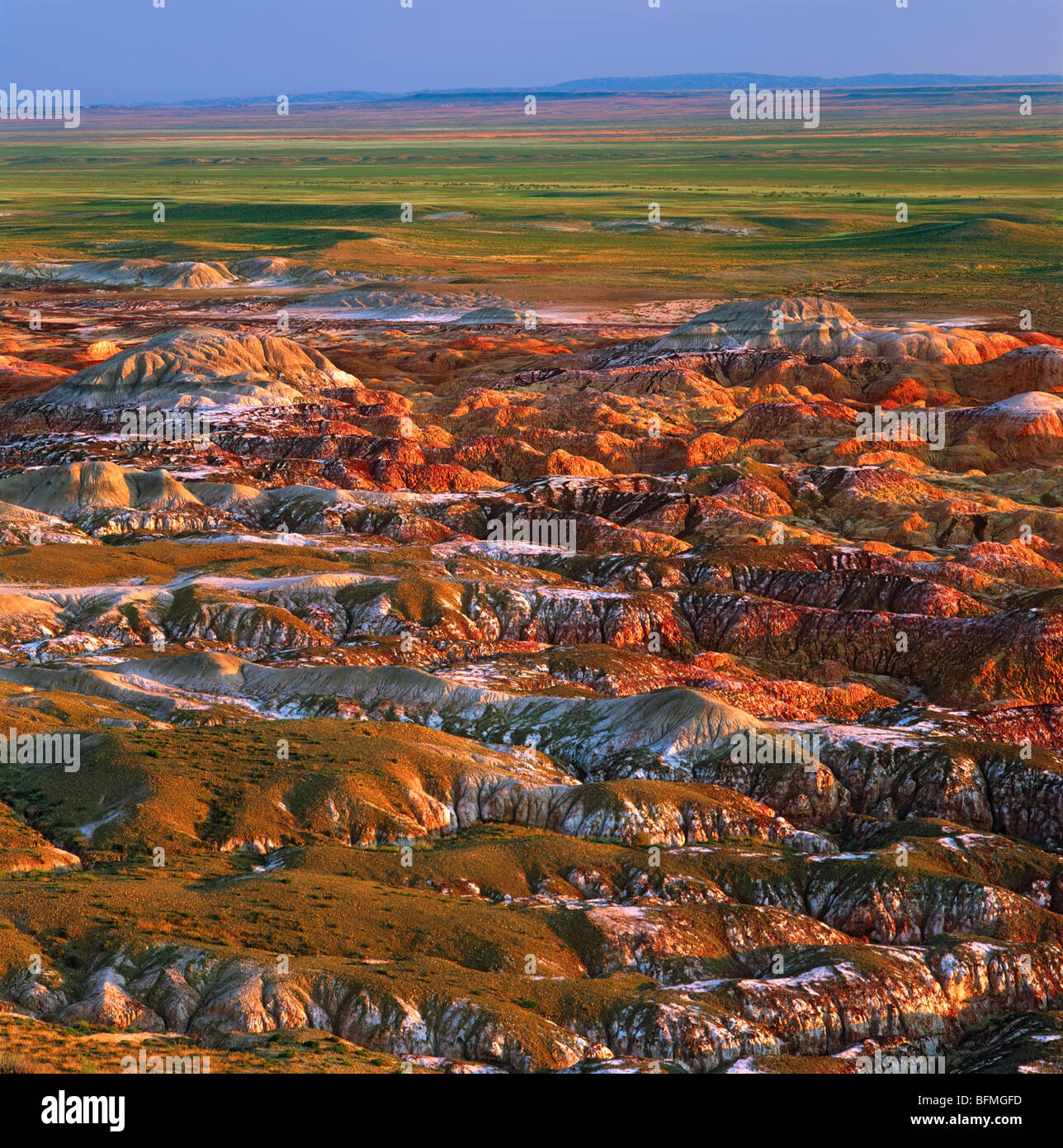 Red clays with paleontological fossils of Mountain Kiin-Kerish. Zaisan ...