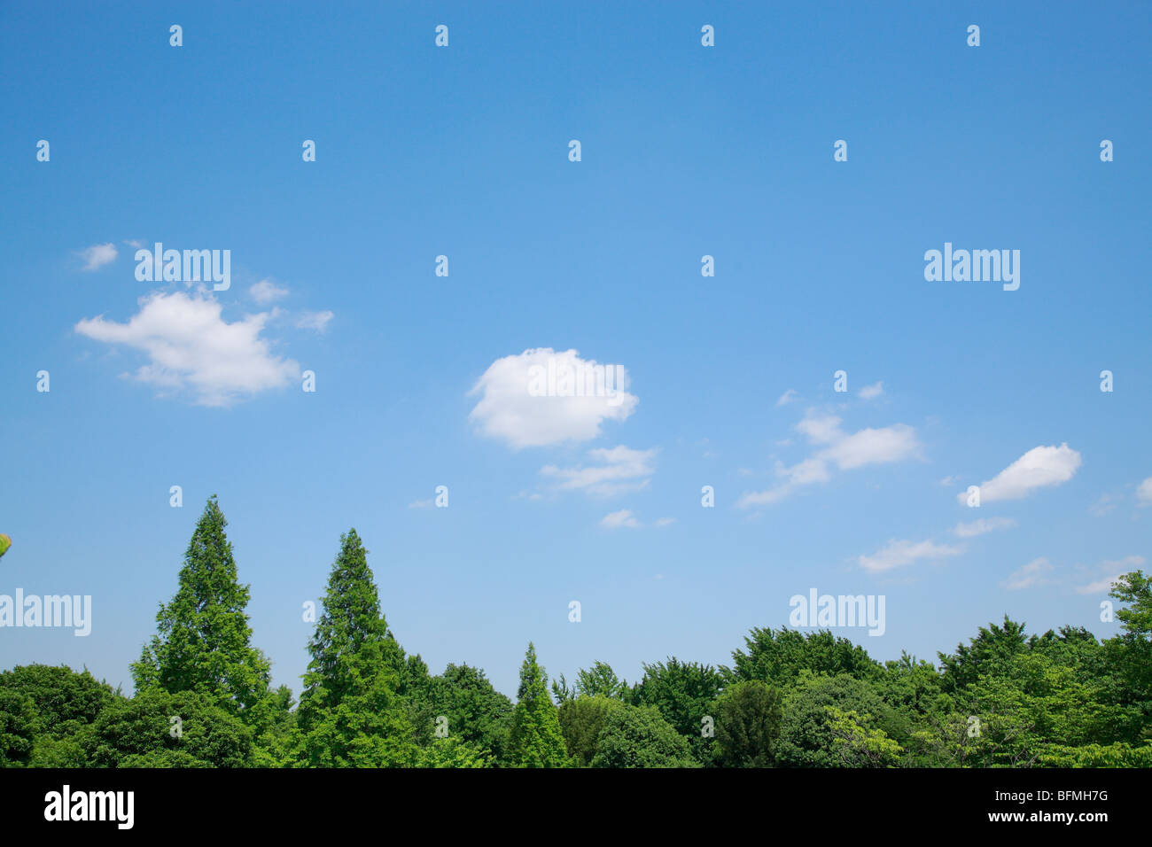 Lush forests japan hi-res stock photography and images - Alamy