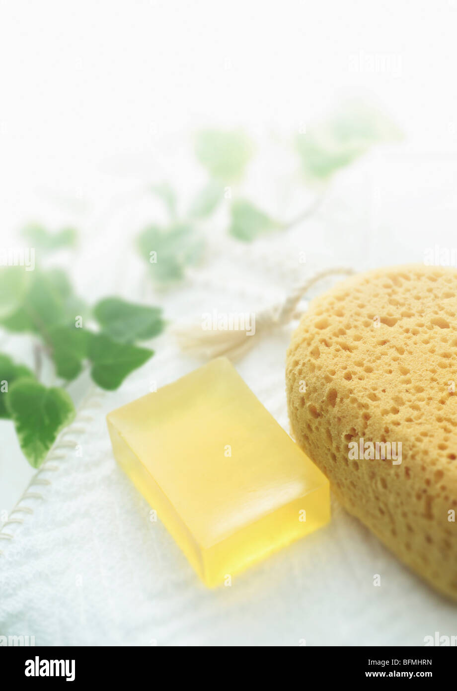 Bar of soap, bath sponge, towel and ivy Stock Photo - Alamy