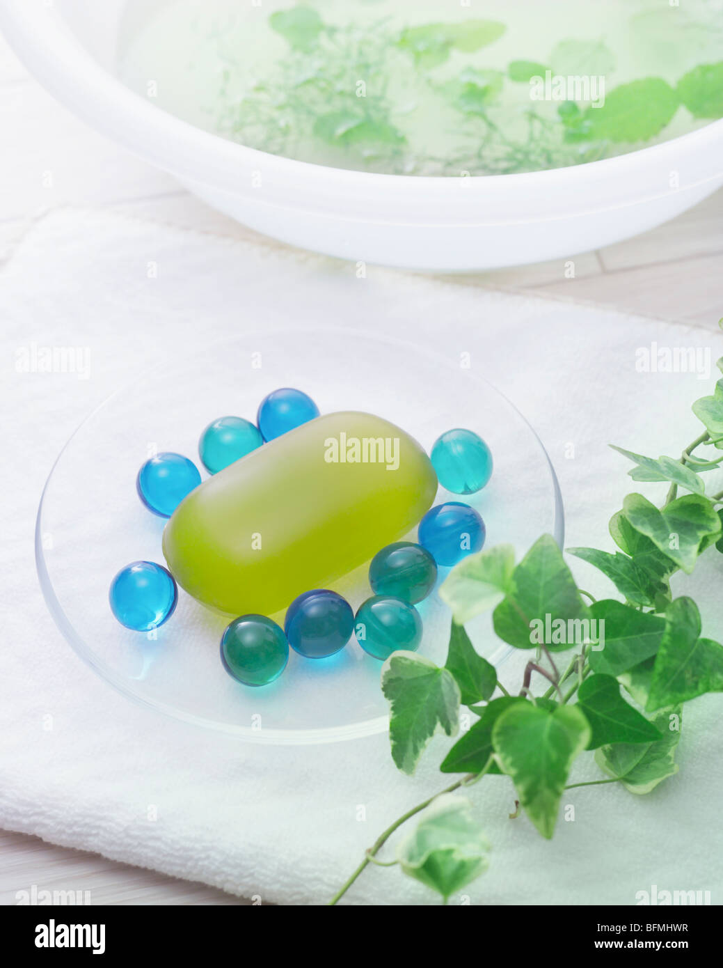 Ivy soap hi-res stock photography and images - Alamy