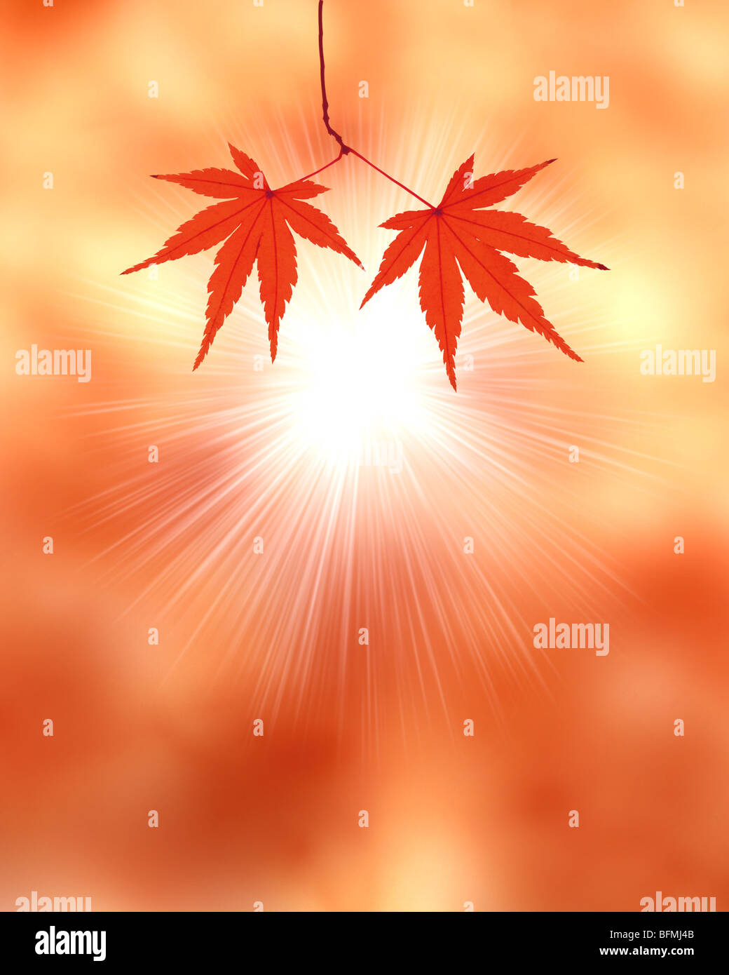 Sunbeam cg hi-res stock photography and images - Alamy