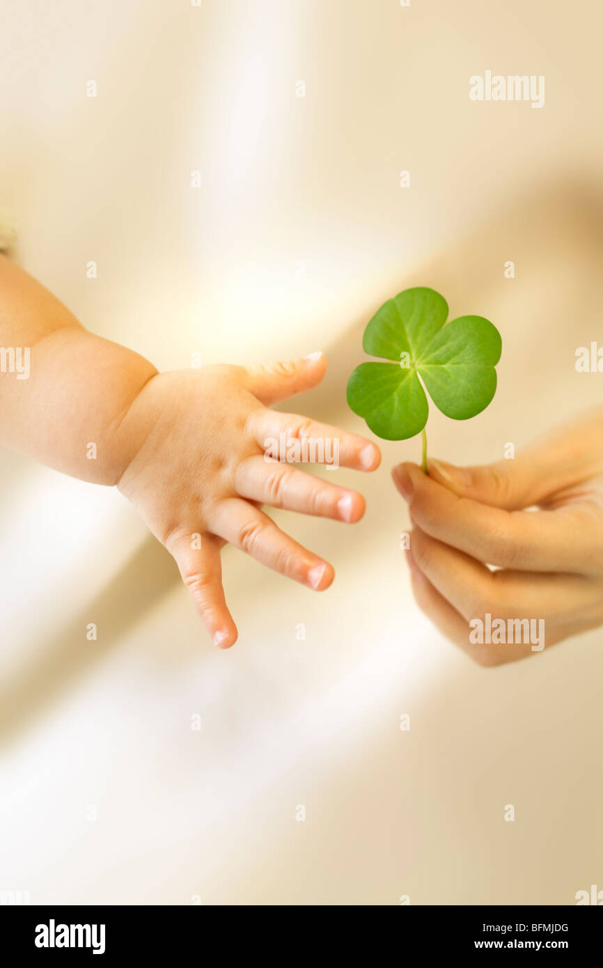 Mother giving clover to baby Stock Photo - Alamy