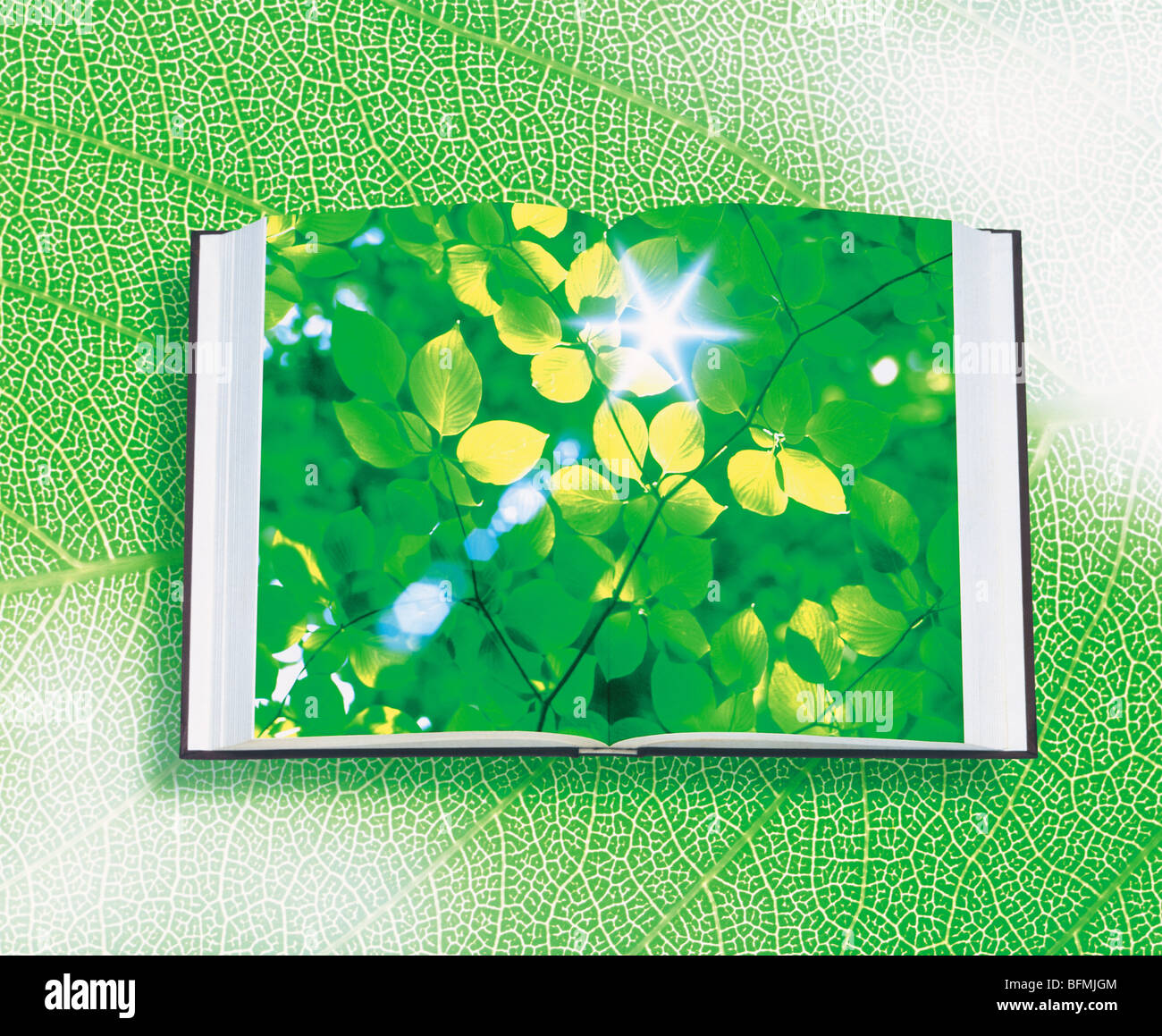 Book with leaves on pages Stock Photo - Alamy