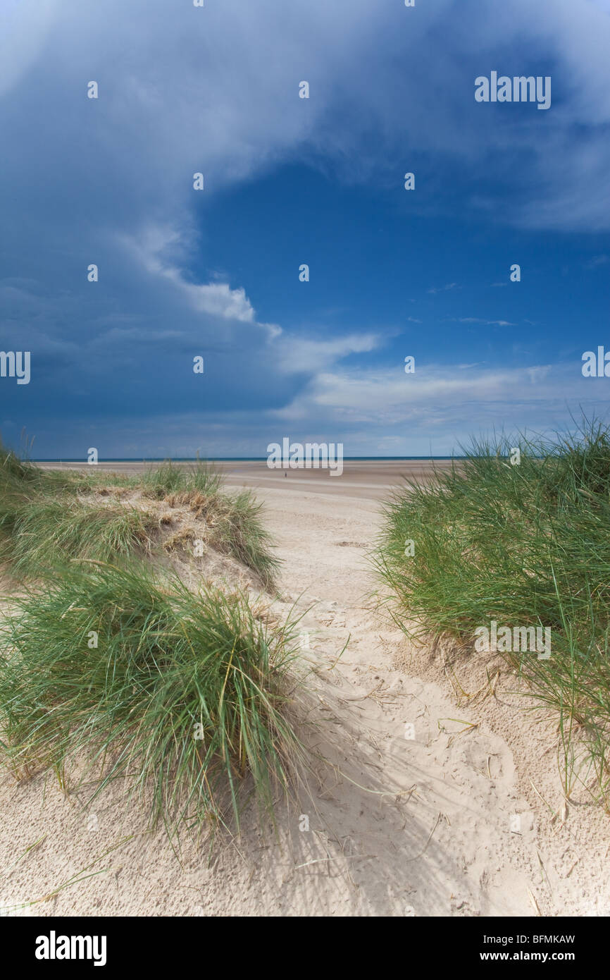 Sand dunes of Holkham Beach in Norfolk, England Stock Photo - Alamy