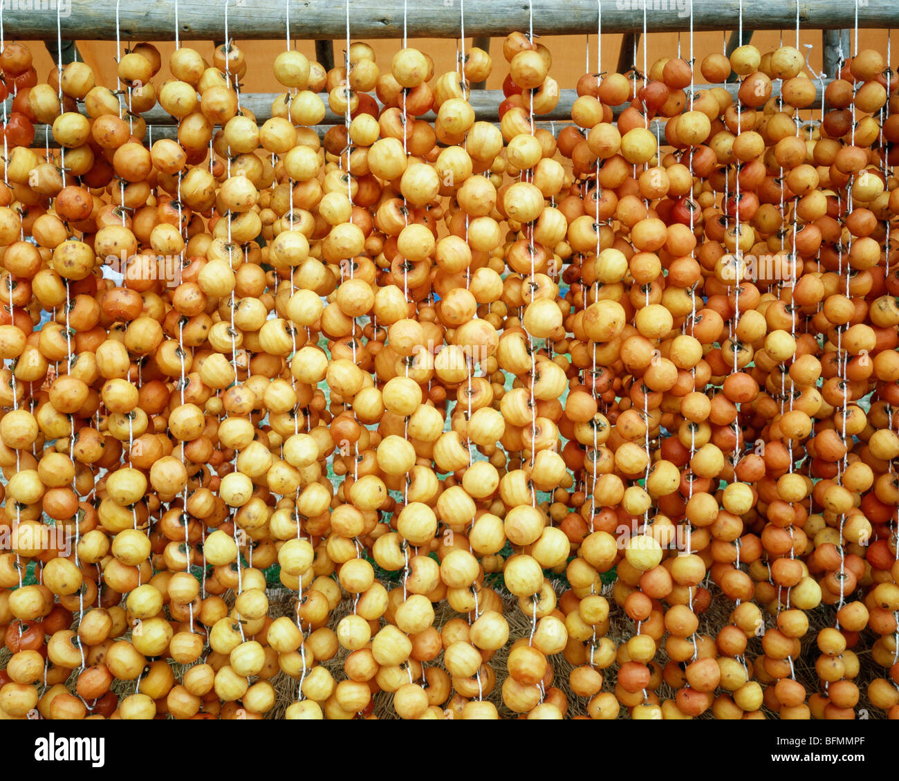 Hanging Japanese Persimmons Stock Photo - Alamy