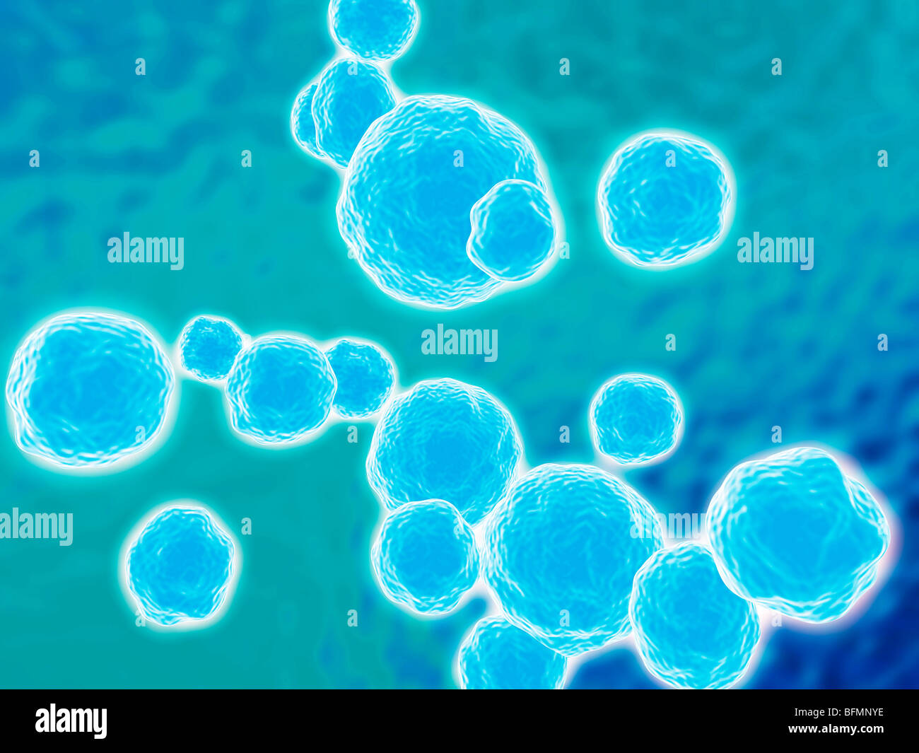 MRSA bacteria, artwork Stock Photo - Alamy