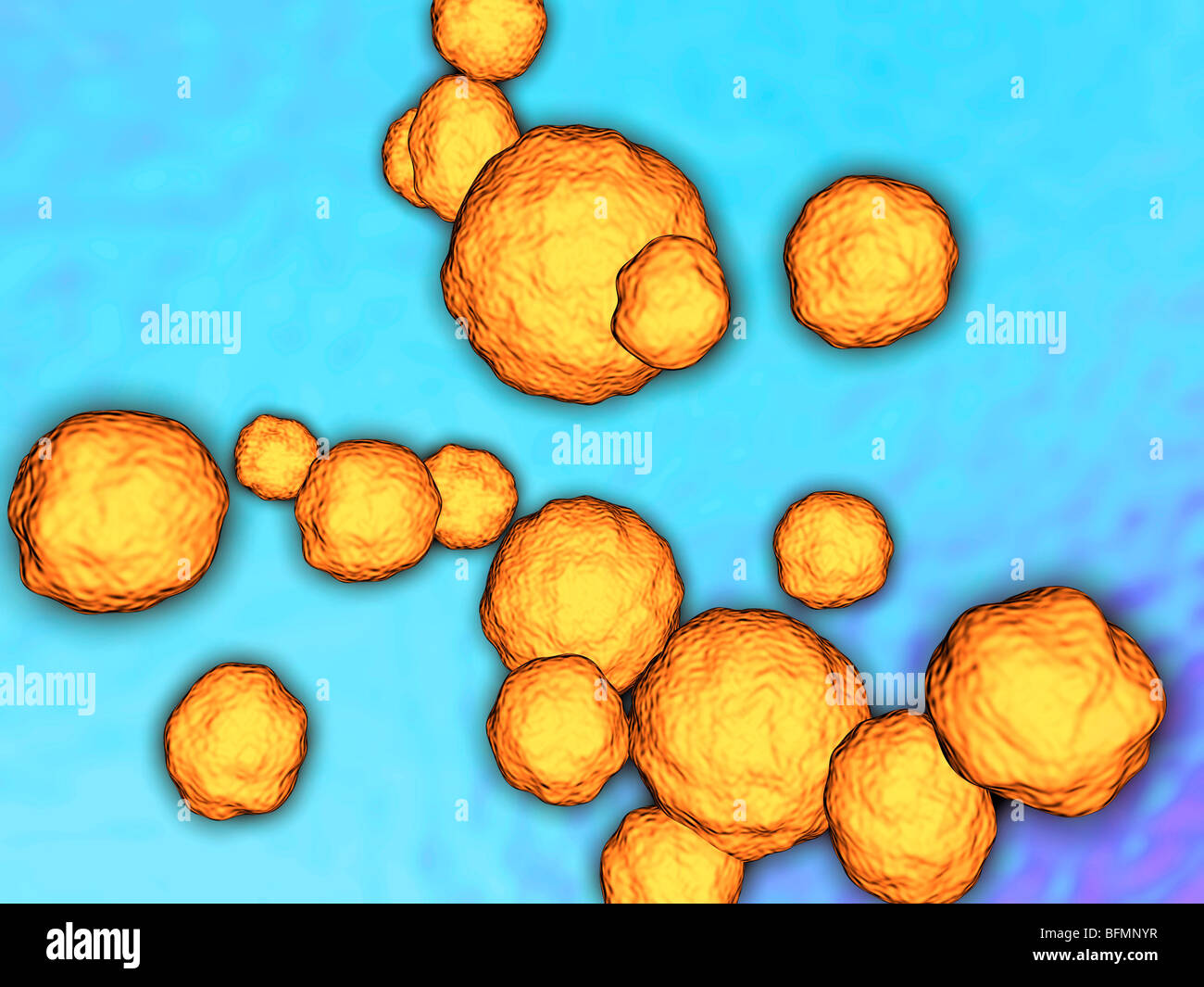 MRSA bacteria, artwork Stock Photo - Alamy