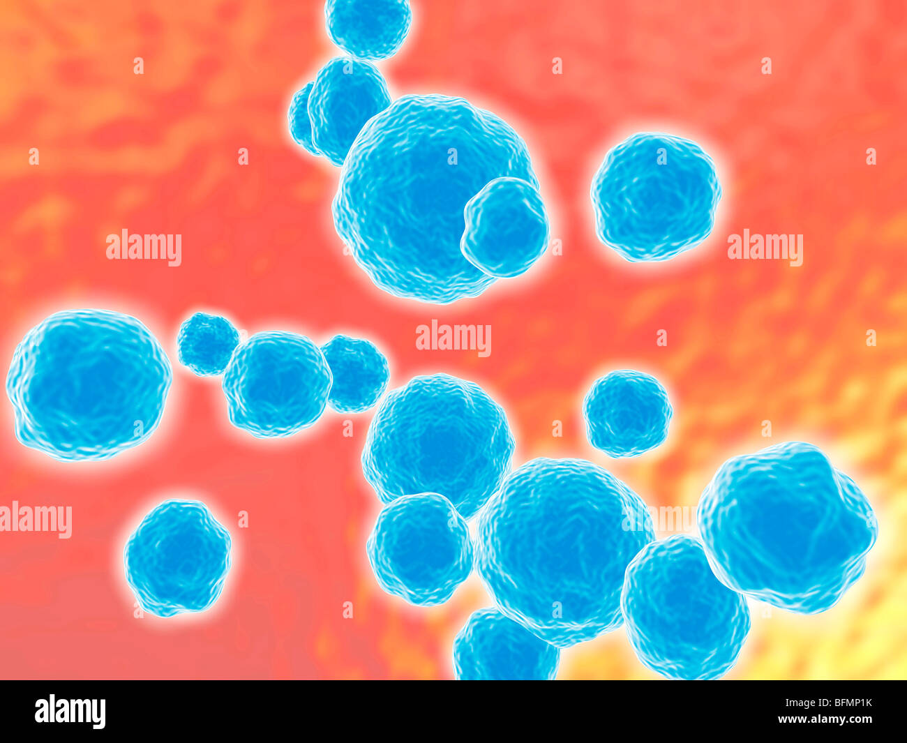 MRSA bacteria, artwork Stock Photo - Alamy
