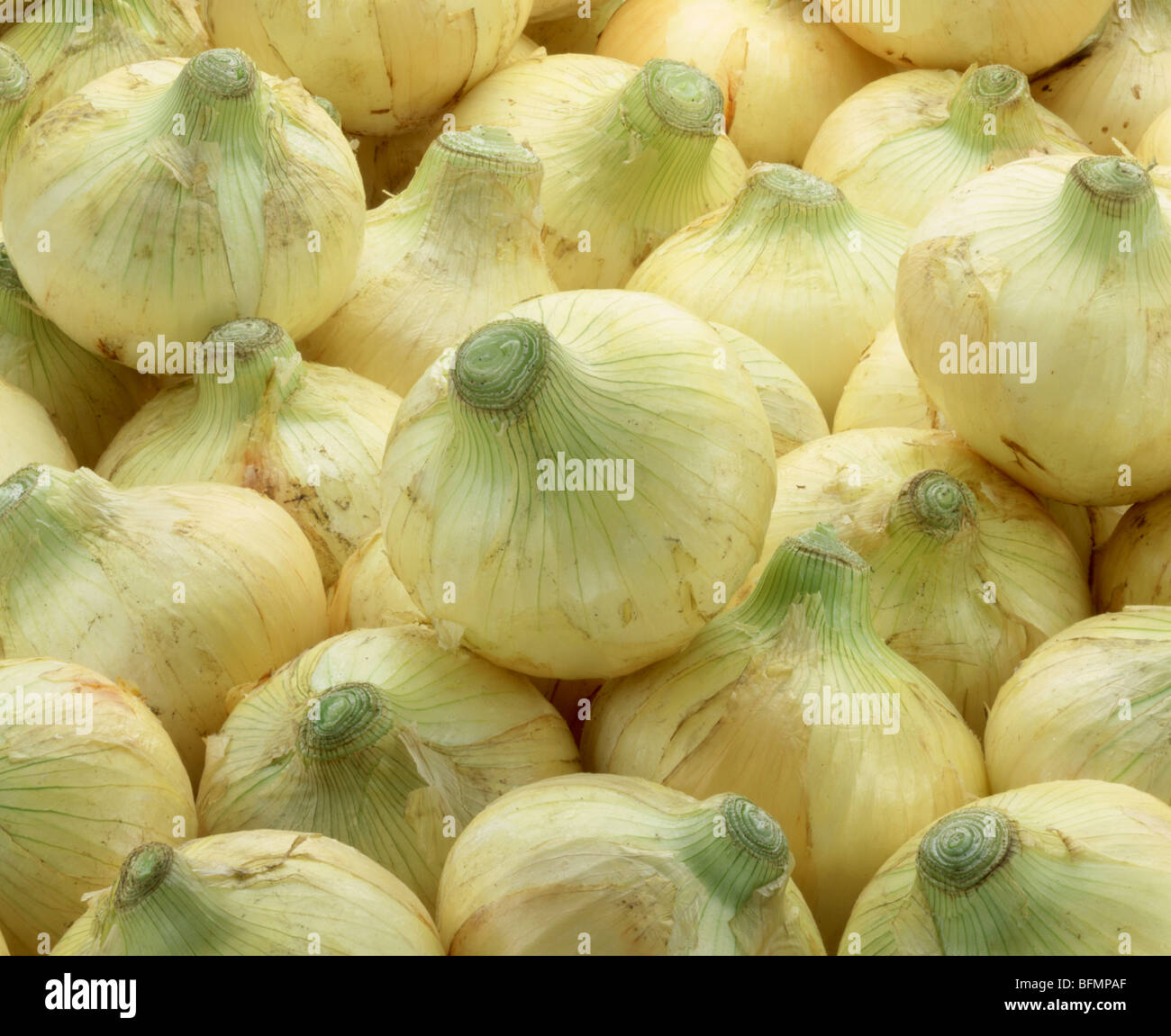 Onions, full frame Stock Photo - Alamy