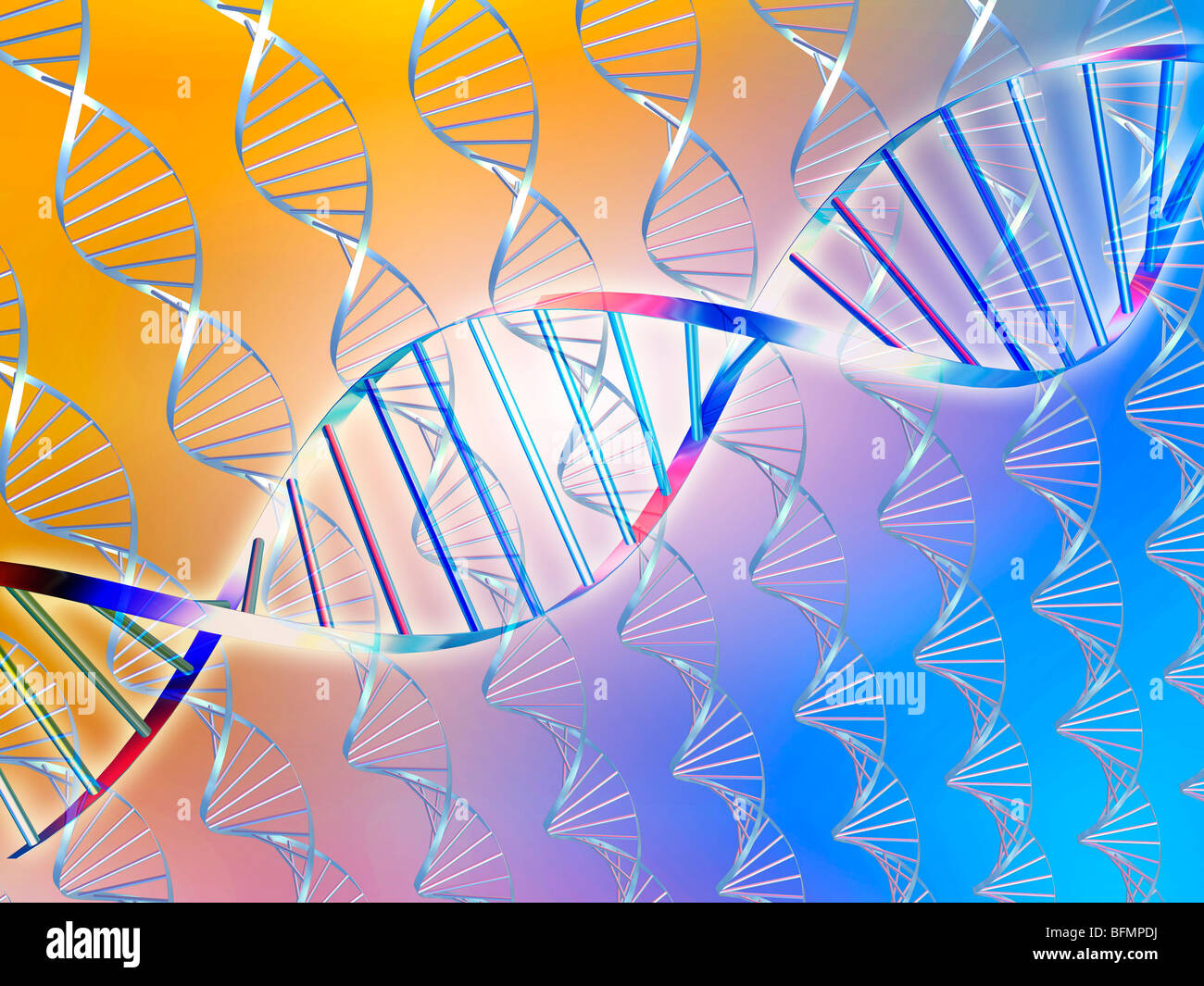 DNA molecules, artwork Stock Photo - Alamy