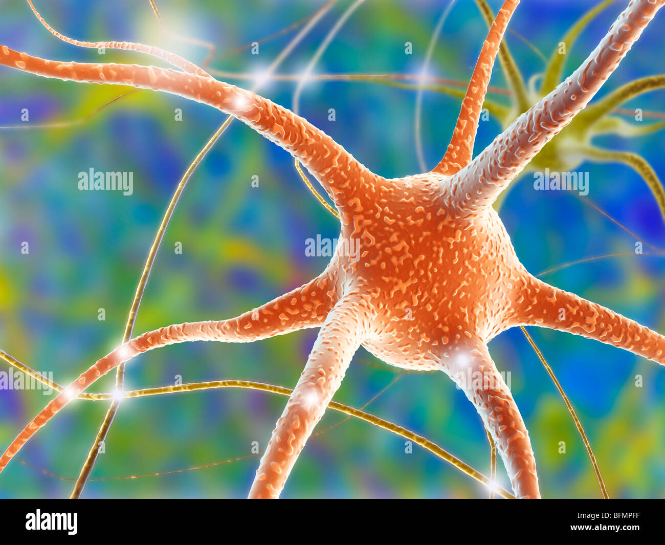 Nerve cell, computer artwork Stock Photo - Alamy