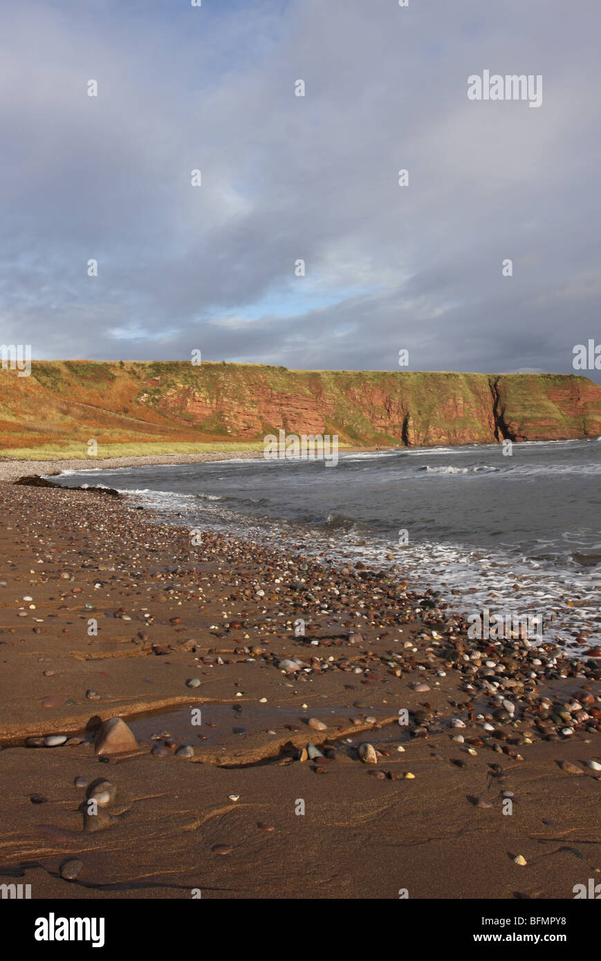 red sandstone cliffs and golden sand Carlingheugh Bay Angus Scotland ...