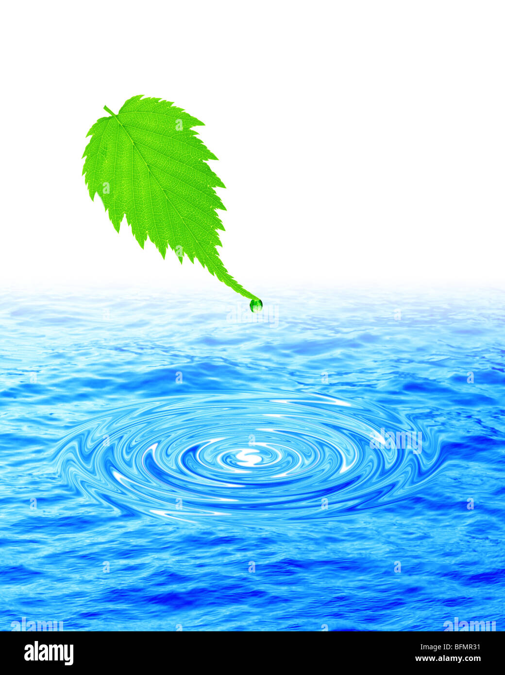 Digital composite of leaf and water drop Stock Photo - Alamy