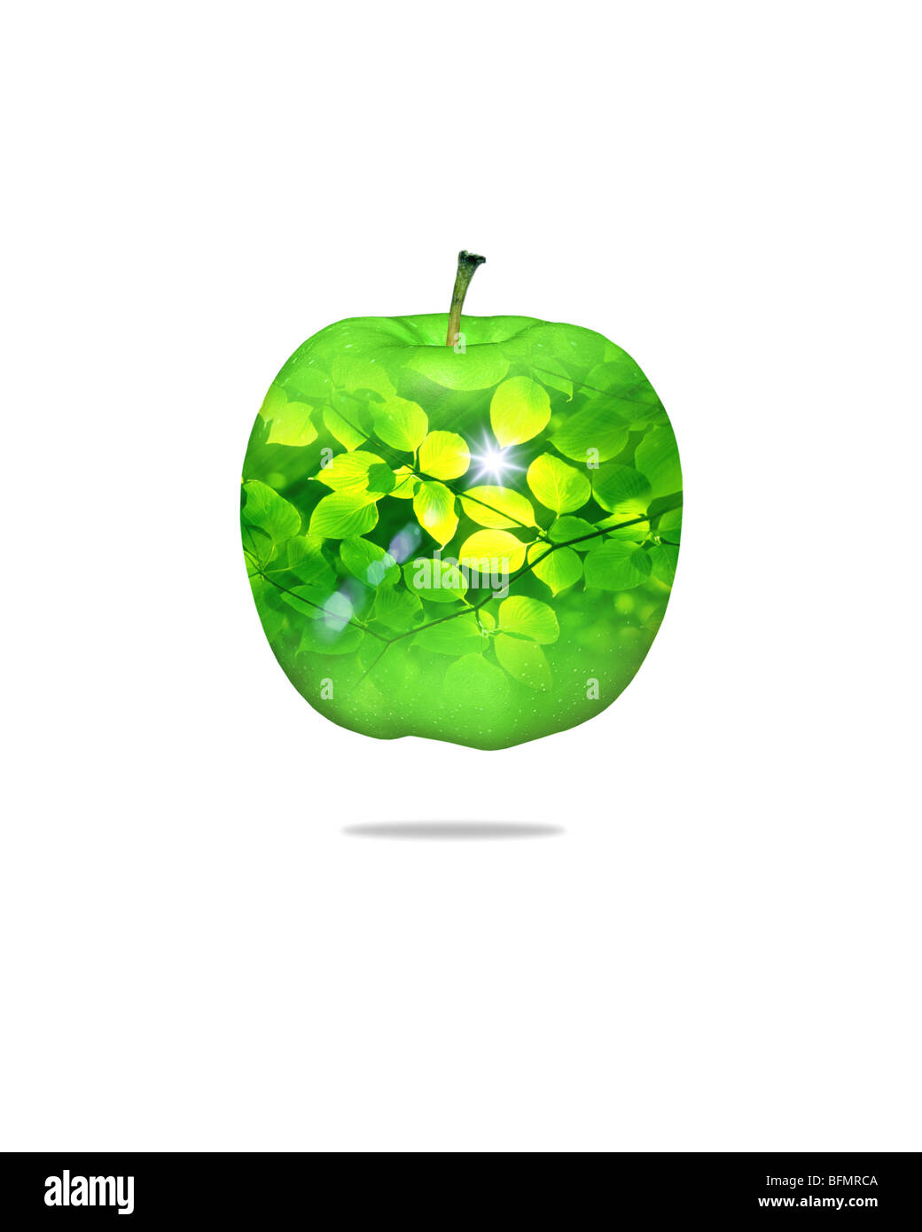 Green nature in lens Cut Out Stock Images & Pictures - Alamy