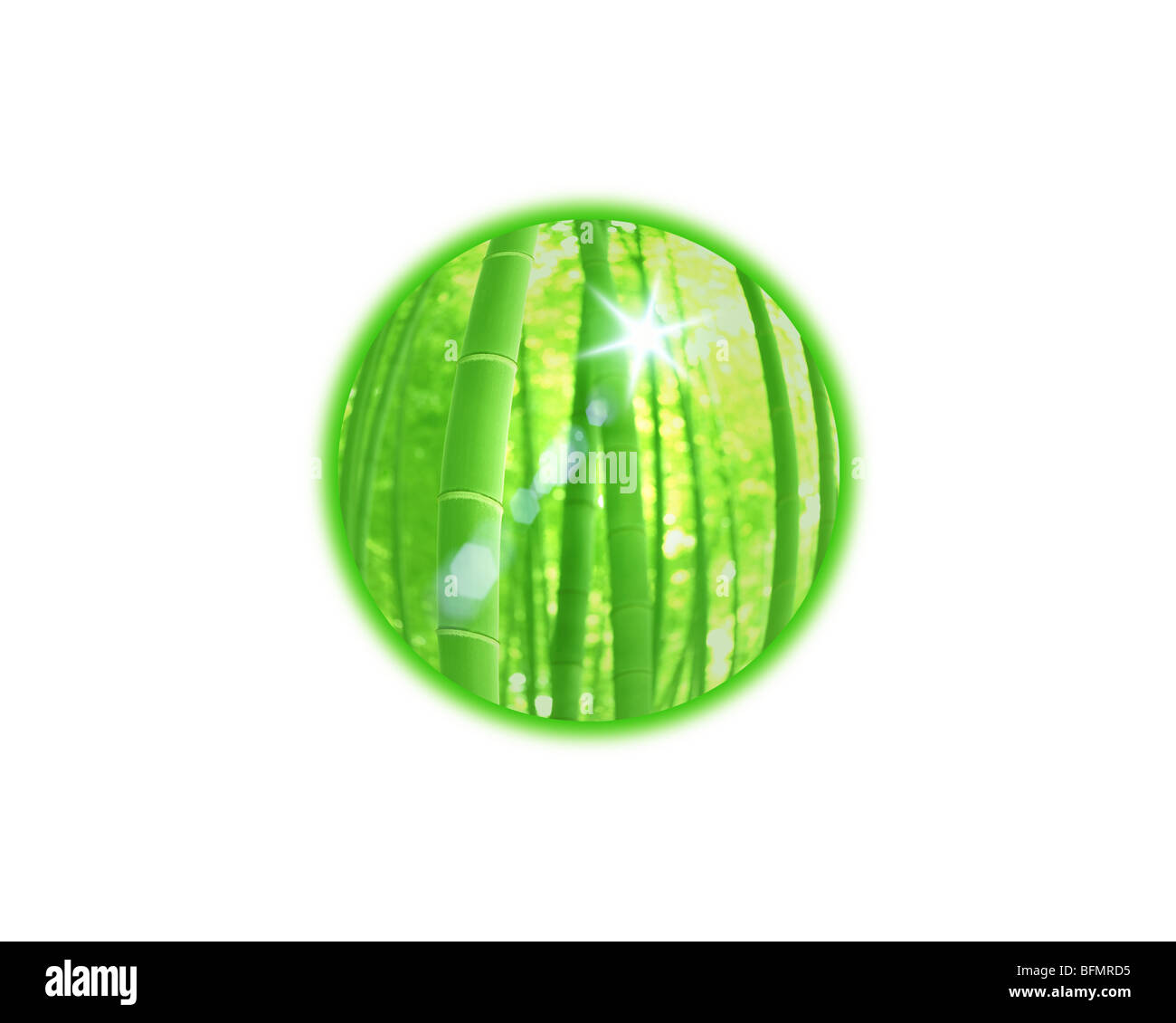 Bamboo forest in a sphere Stock Photo - Alamy