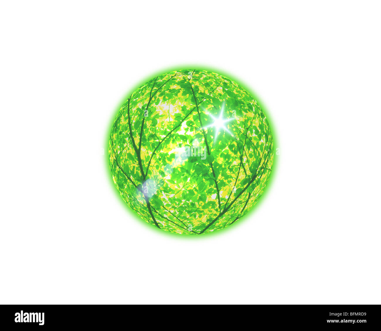 Lens flare tree Cut Out Stock Images & Pictures - Alamy
