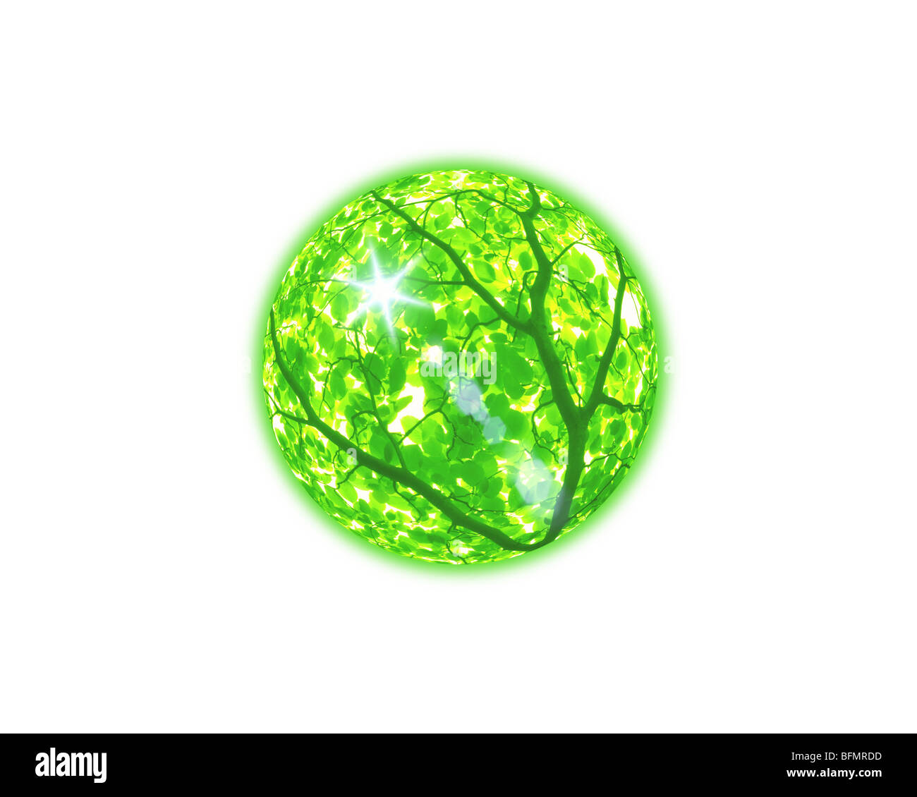 Tree branches in sphere Stock Photo - Alamy