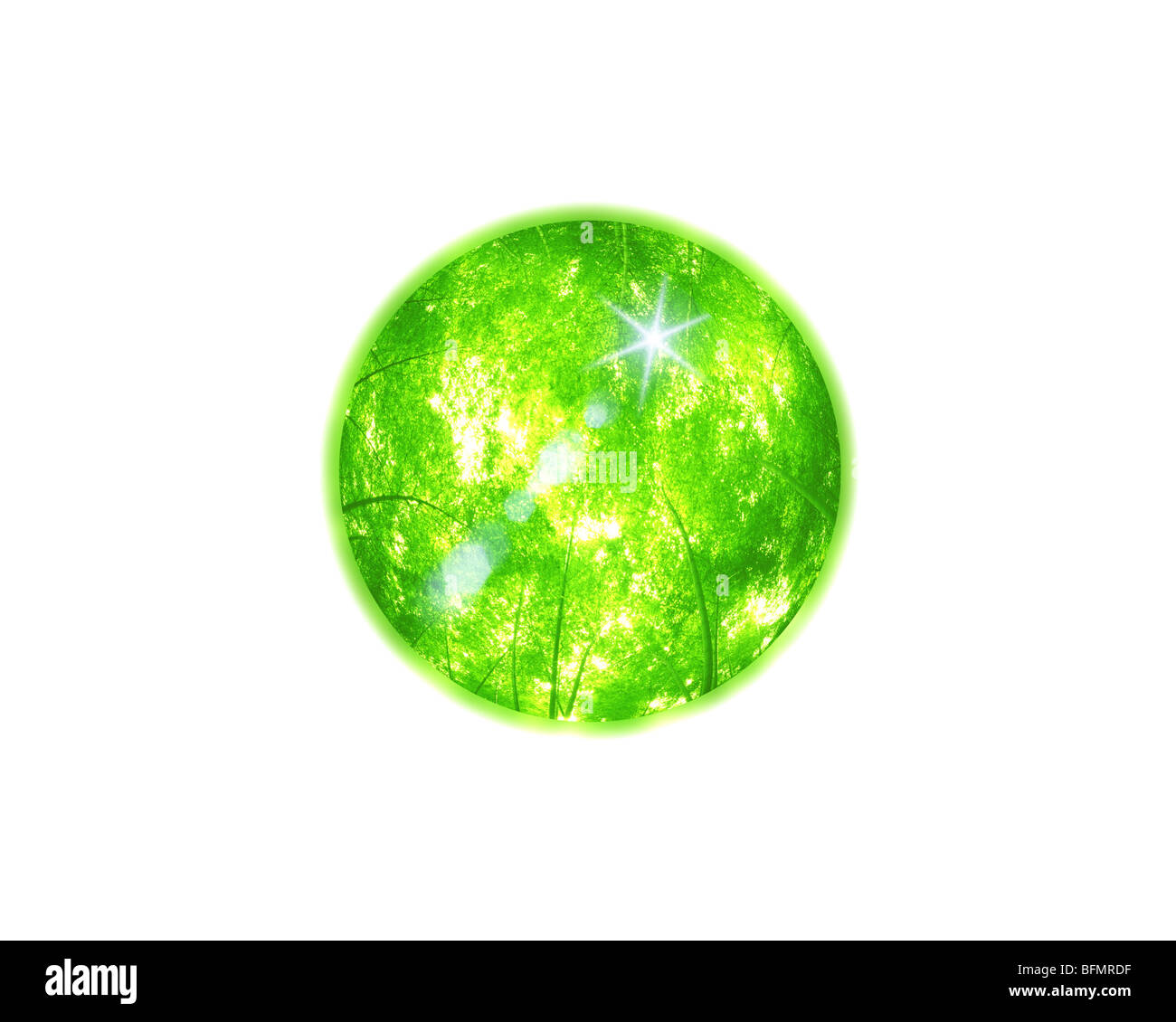 Bamboo forest in a sphere Stock Photo - Alamy