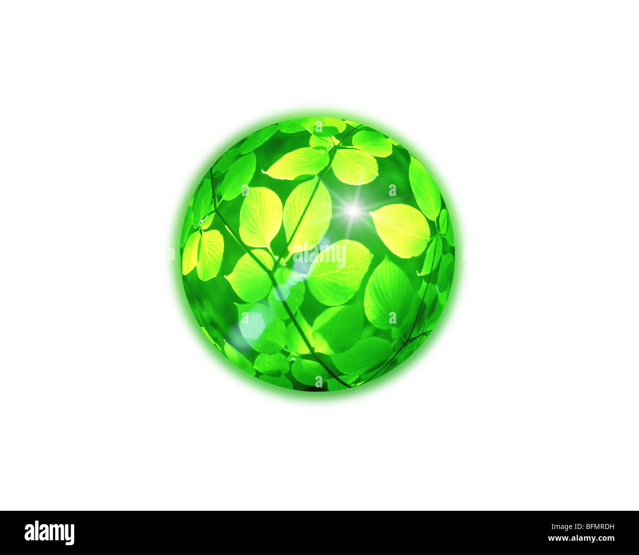 Sun in branches Cut Out Stock Images & Pictures - Alamy