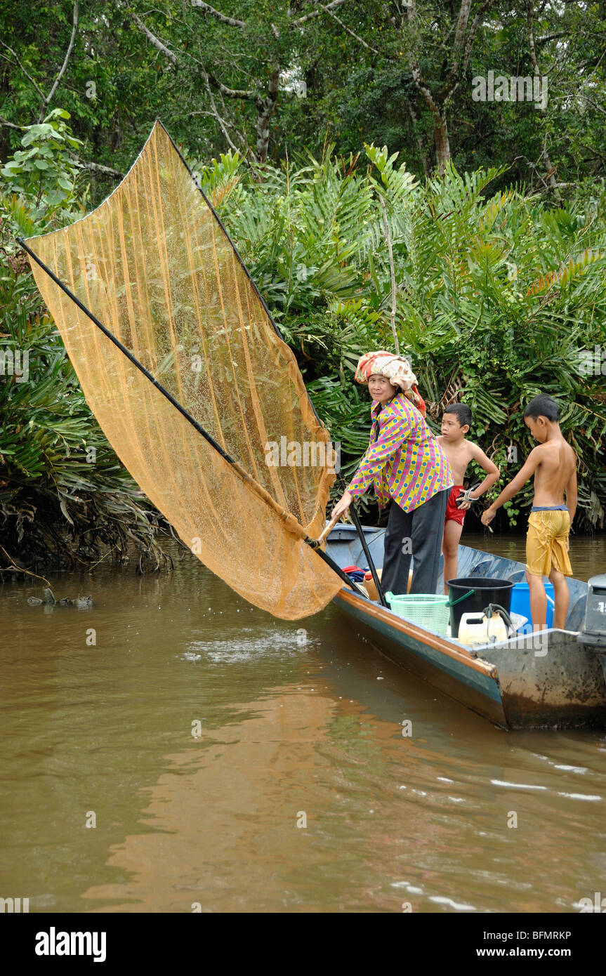 Sabah Fisher Woman & Sons Shrimp Fishing from Boat with Net in Klias ...