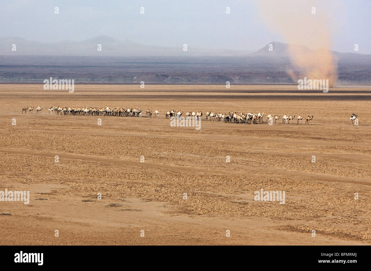 Chalbi desert hi-res stock photography and images - Alamy