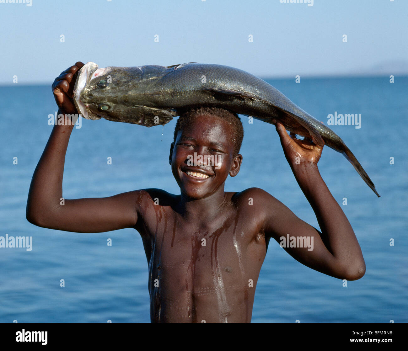 Nile perch fish hi-res stock photography and images - Alamy