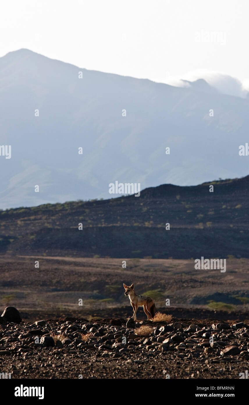 Mount kulal kenya hi-res stock photography and images - Alamy