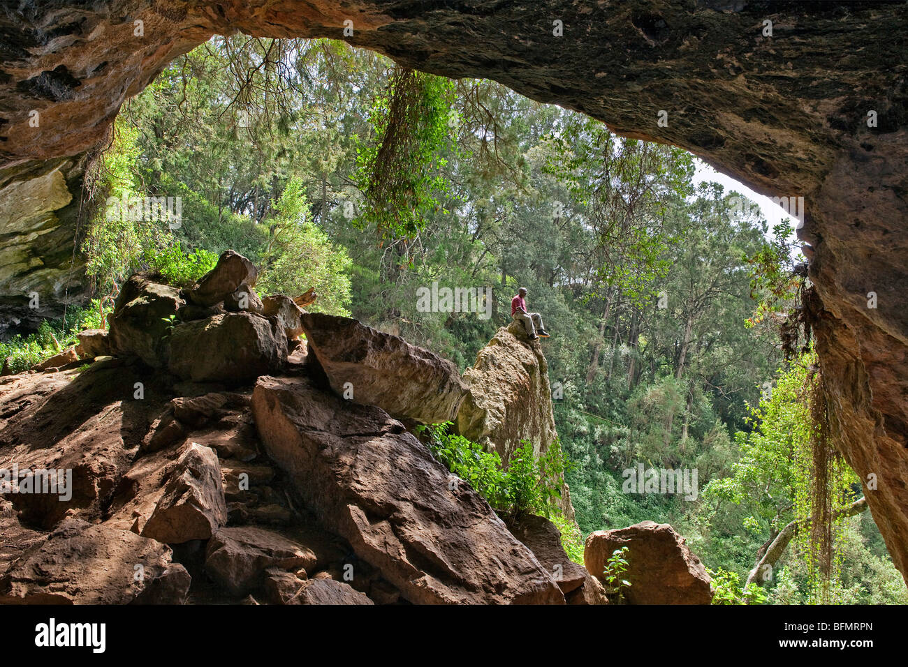 The entrance to Kitum Cave on the slopes of Mount Elgon, Kenya s second ...