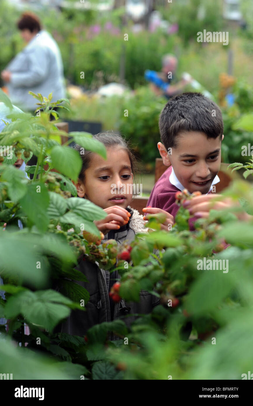 Children visit allotments from local schools, Bradford Stock Photo - Alamy