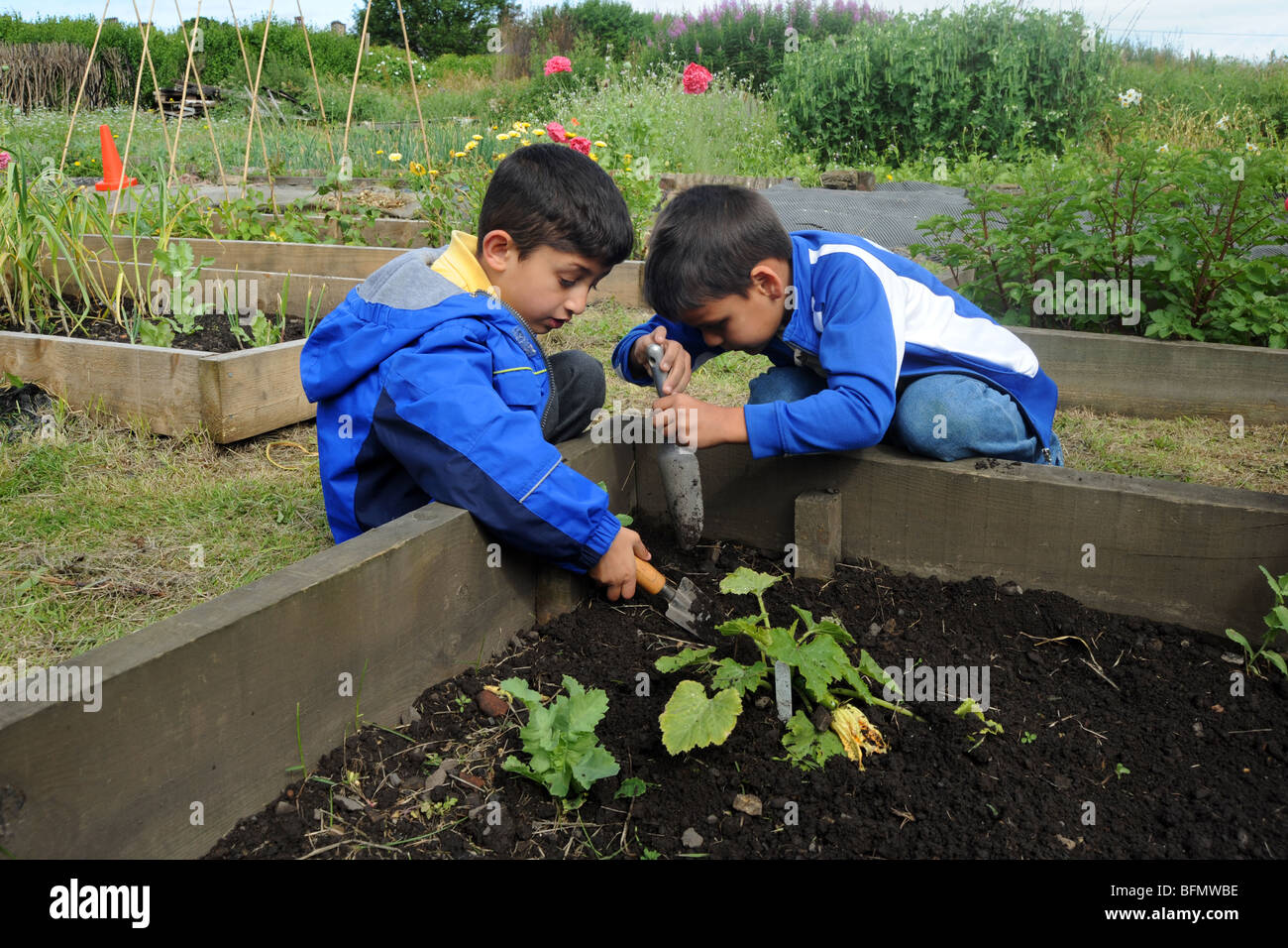 Children visit a local allotment near to the school to learn about ...