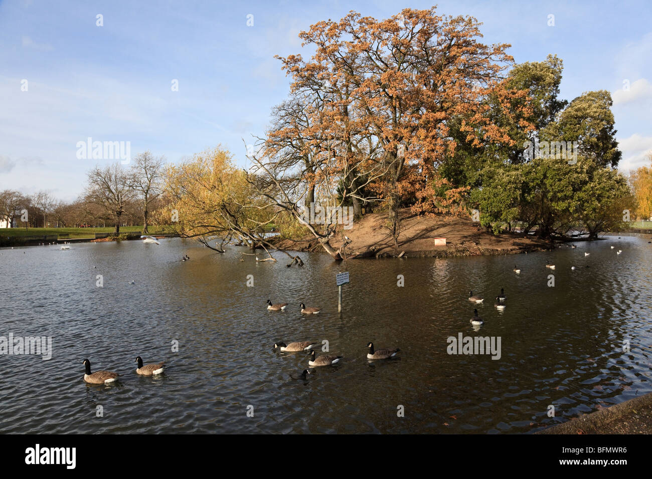 Mount Pond and island late autumn, Clapham Common, Clapham, London UK ...