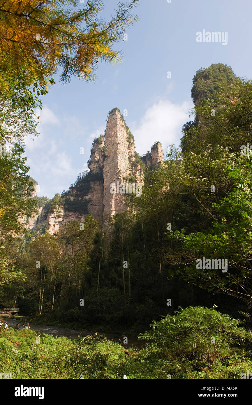China, Hunan Province, Zhangjiajie Forest Park, Wulingyuan Scenic Area ...