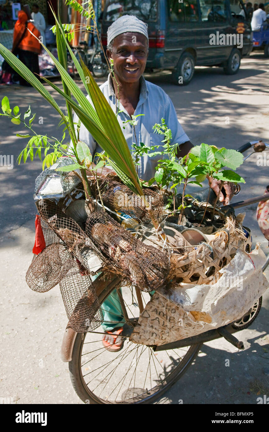 Rat bike hi-res stock photography and images - Alamy