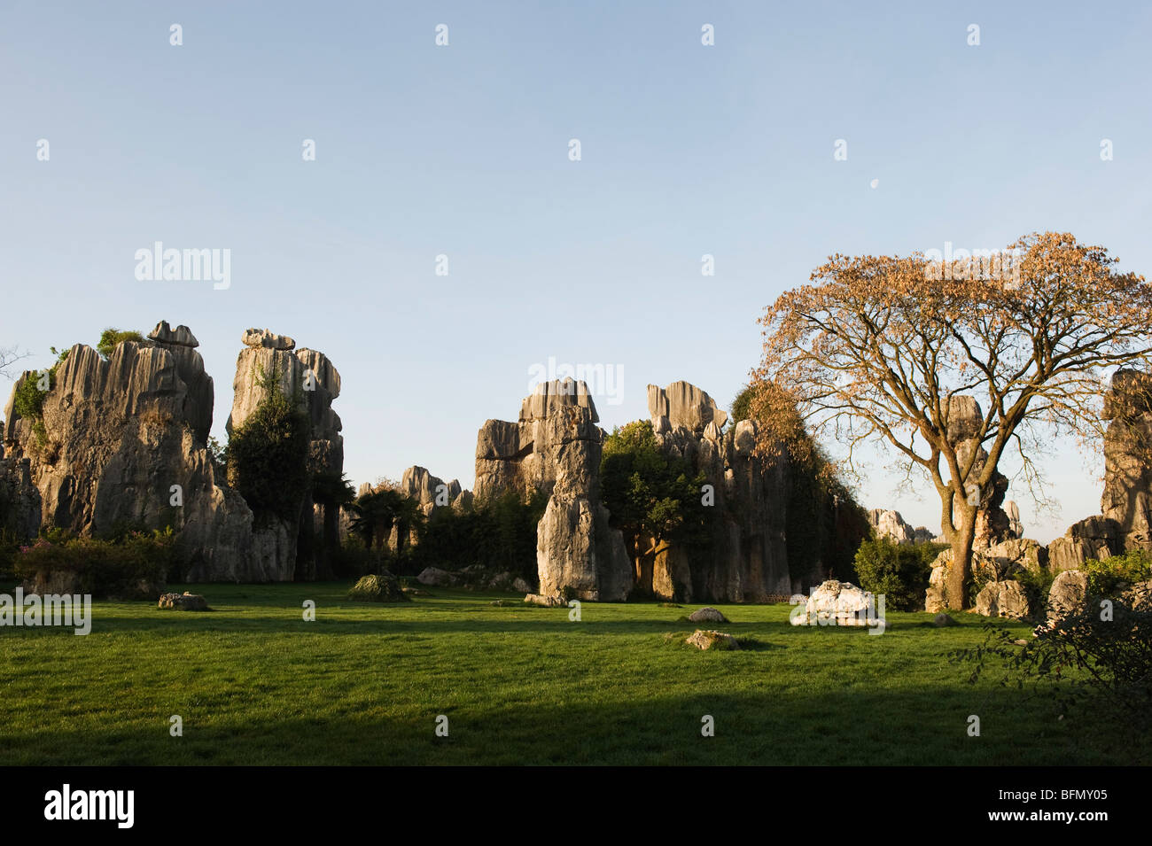 Shilin stone forest china asia hi-res stock photography and images - Alamy