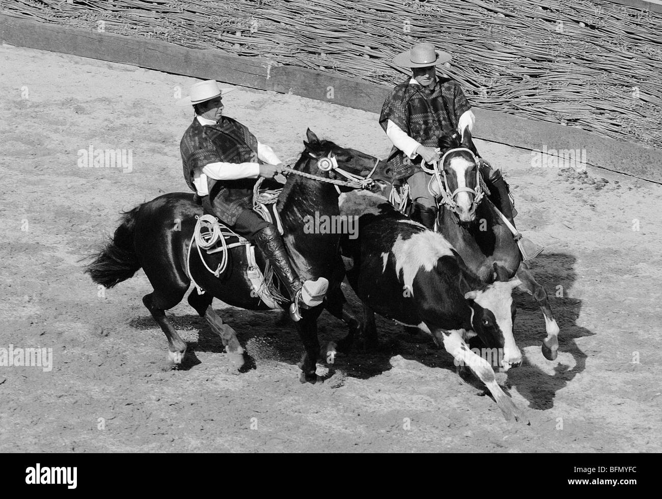 Rancagua chile rodeo Black and White Stock Photos & Images - Alamy