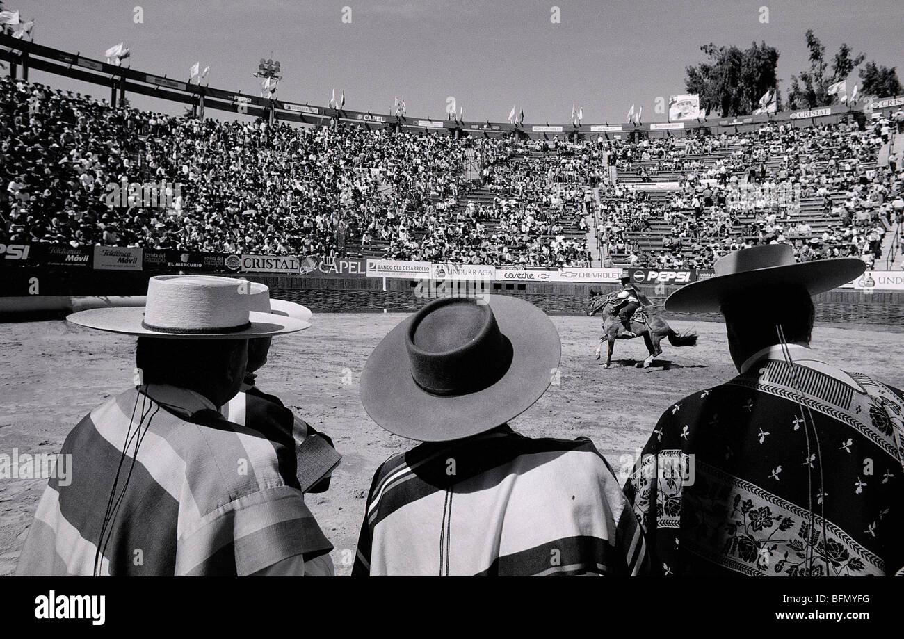 Chile, Rancagua. Judges assess a competitor in the National Rodeo ...