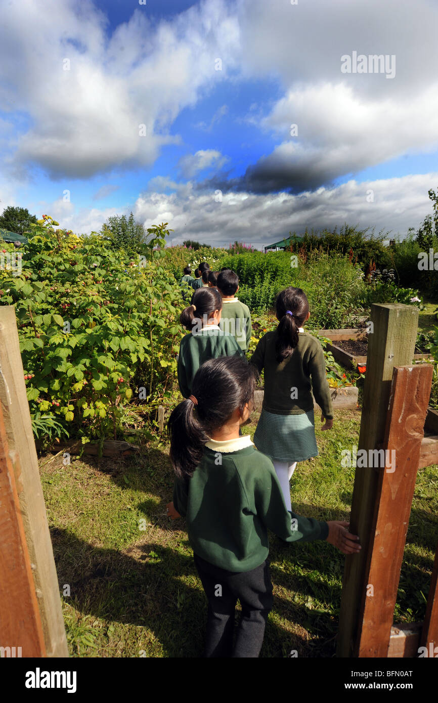 Children visit allotments from local schools, Bradford Stock Photo - Alamy