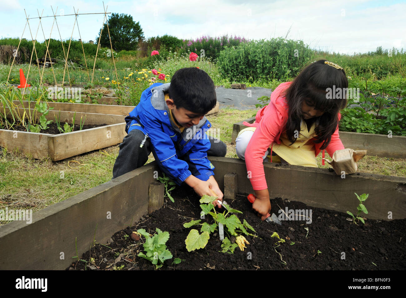 Children visit allotments from local schools, Bradford Stock Photo - Alamy