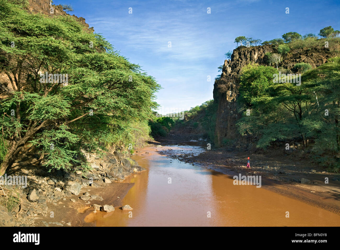 Kenya, Baringo District. In a semi-arid region of Kenya, a woman ...