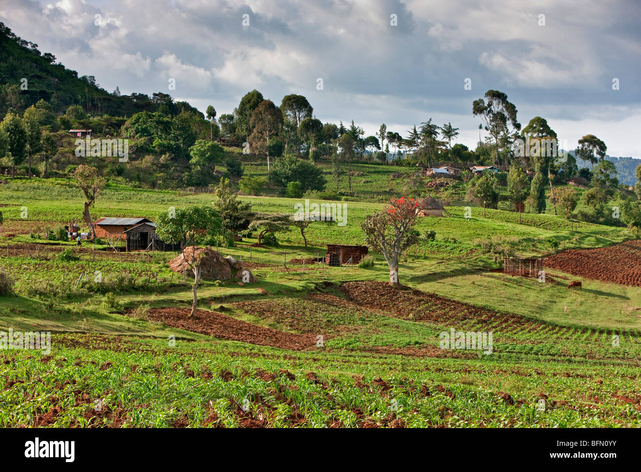 Extensive Subsistence Farming