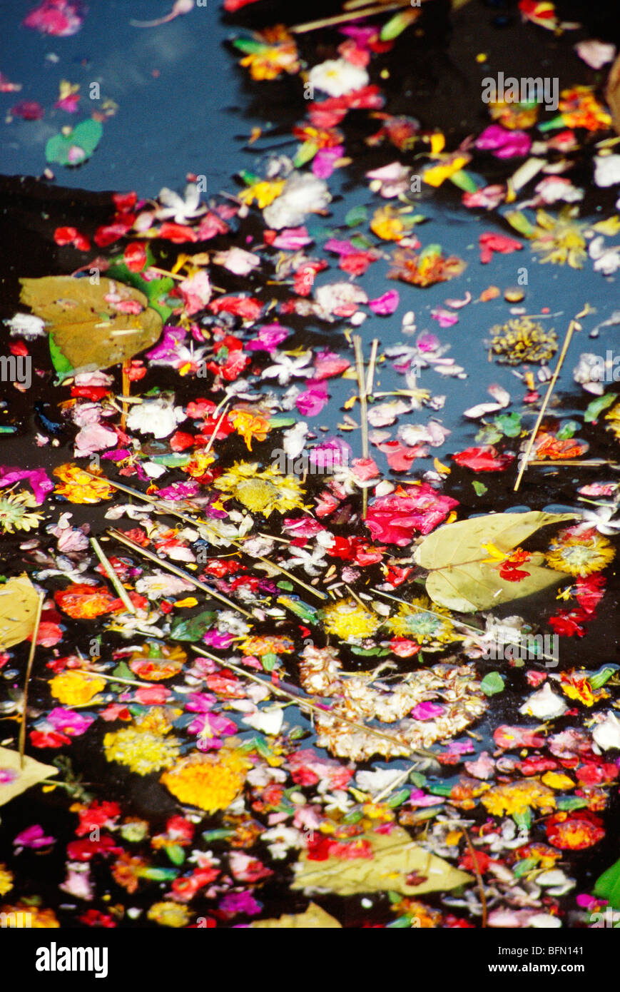 Garbage near temple ; pune ; maharashtra ; India ; asia Stock Photo - Alamy