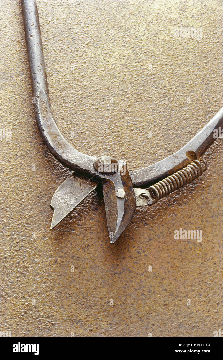 Goldsmiths tools hi-res stock photography and images - Alamy