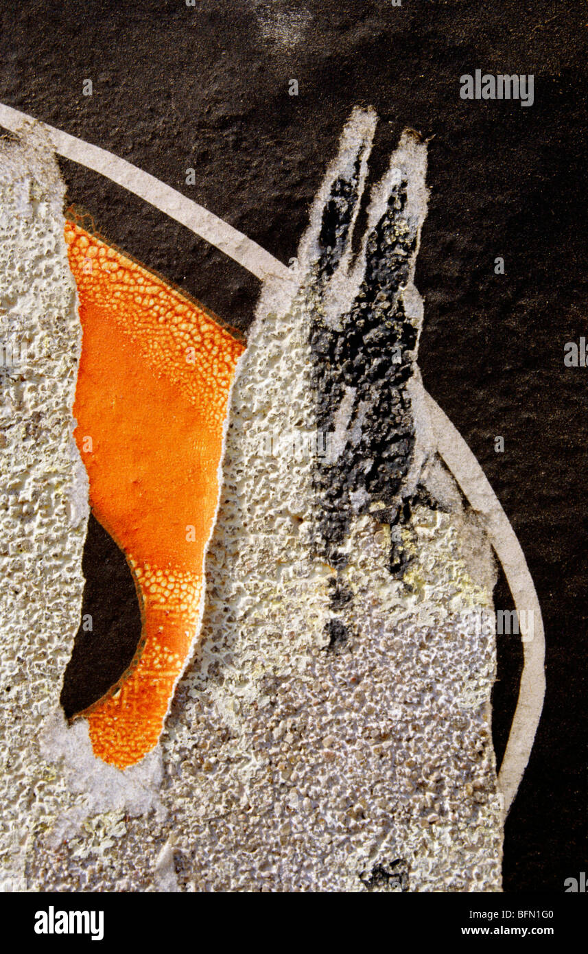 torn peeling art poster on painted wall graphic bold design Stock Photo ...